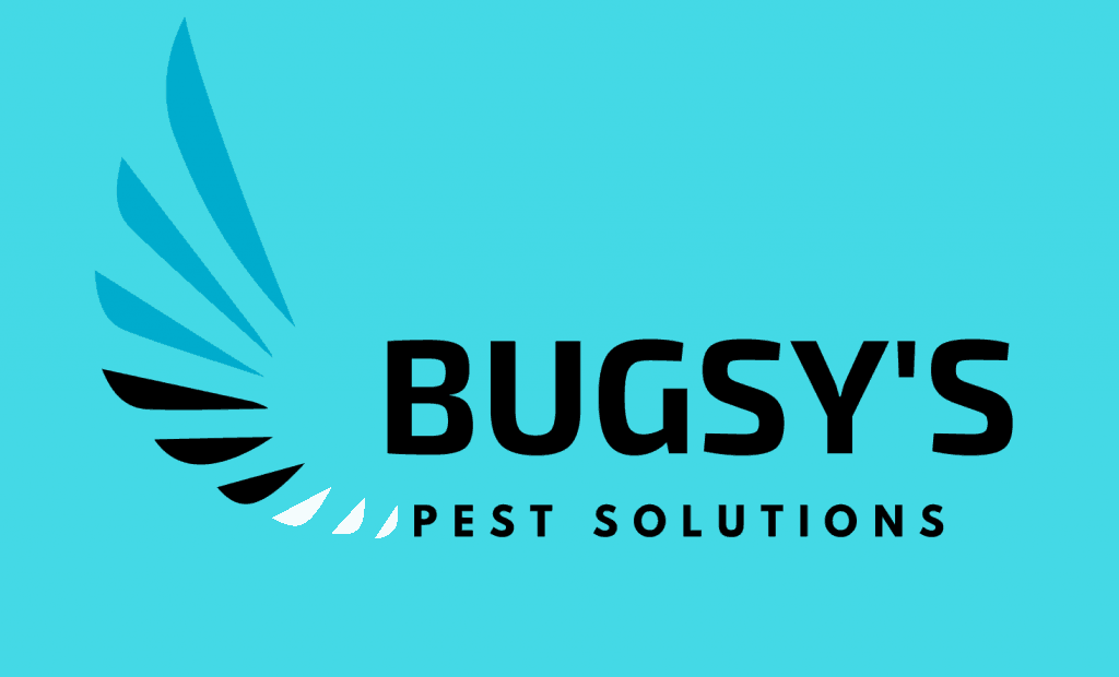 Hotel and Apartment Bed Bug Services - Bugsys Pest Solutions